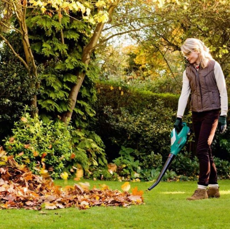 Topline Doyles.Topline Doyles